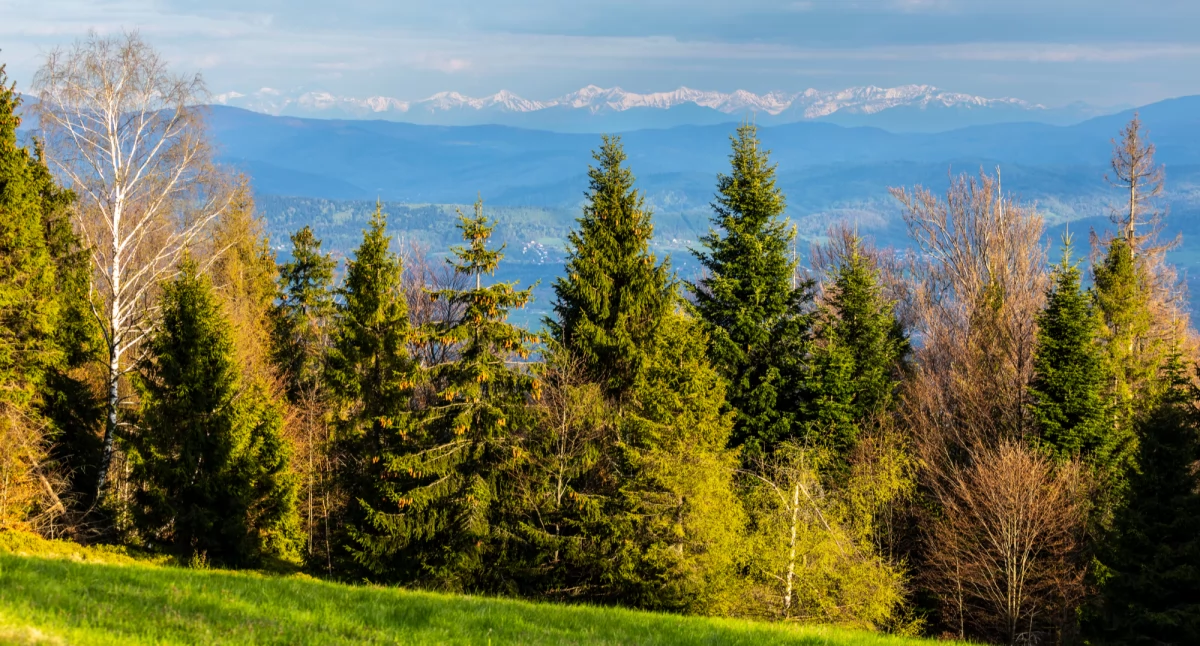 Czupel, Kłodzka Góra, Biskupia Kopa. Szczyty z Korony Gór Polski do ...